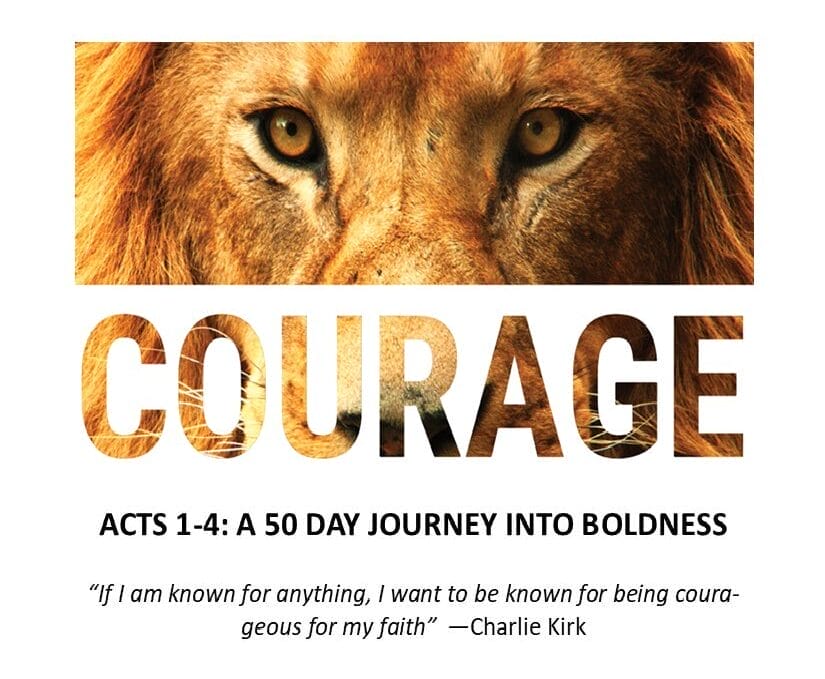 Courage - The Message of Courage: Boldly - Bridge Community Church